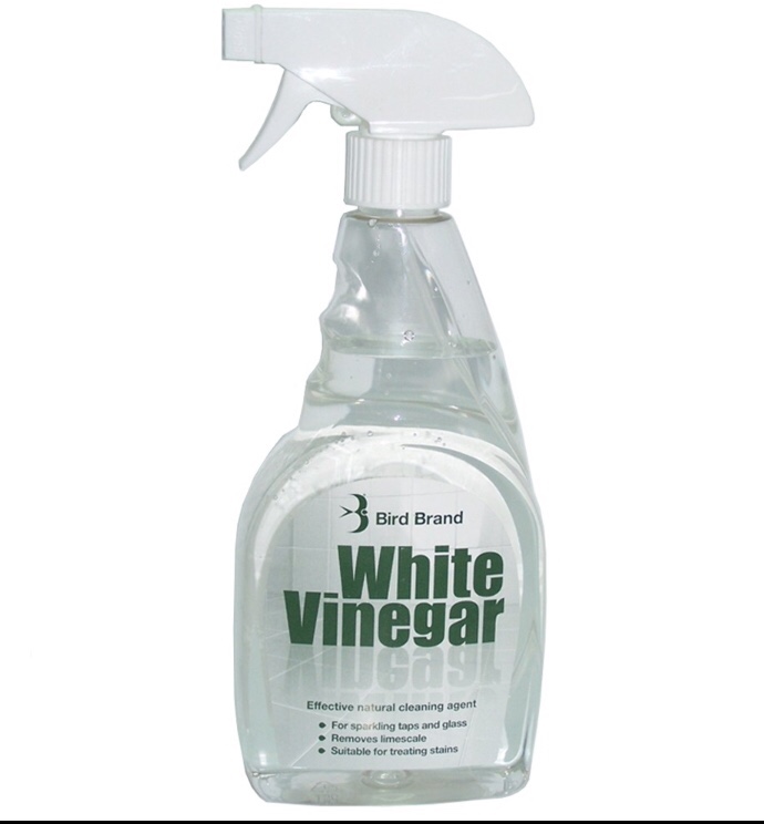 Favorite Products to Prevent Spread of Colds and Flu