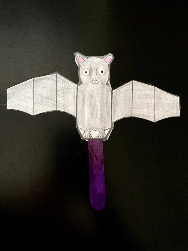 “Stellaluna” by Janell Cannon and Stick Puppet