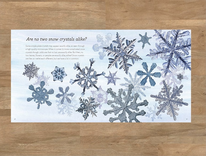 “The Story of Snow” by Mark Cassino and John Nelson