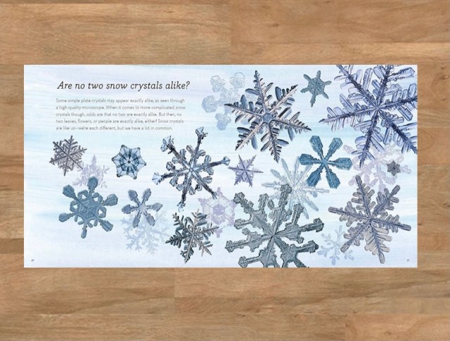 “The Story of Snow” by Mark Cassino and John Nelson
