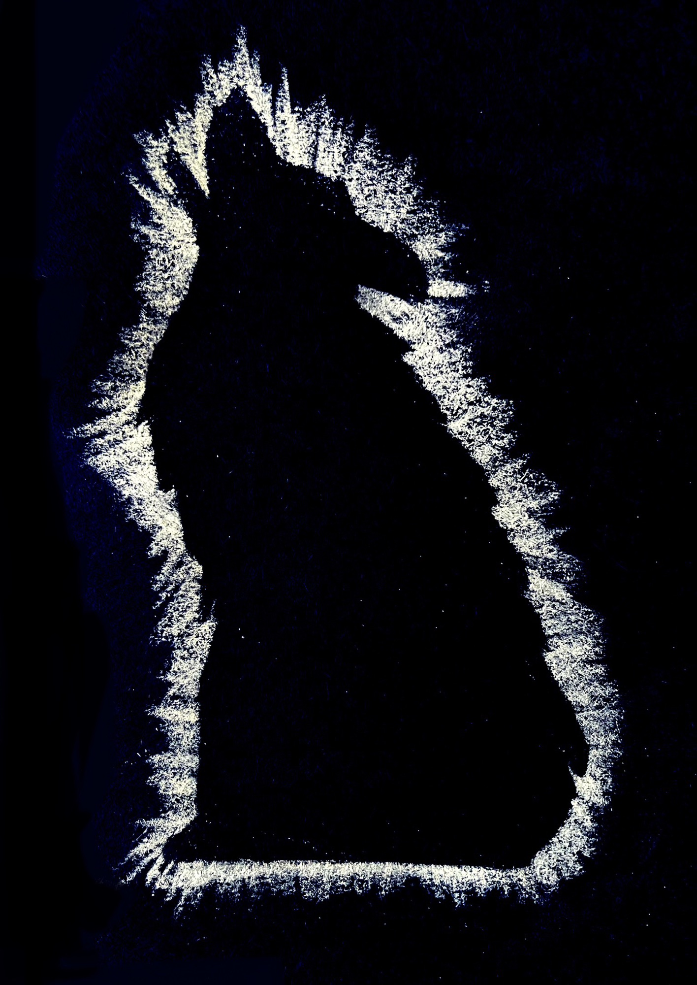 “Coyotes All Around” to Teach Rounding Numbers and Coyote Craft