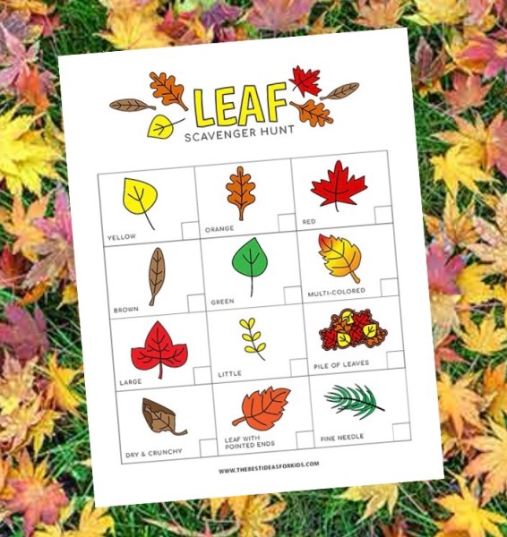 Leaf Scavenger Hunt