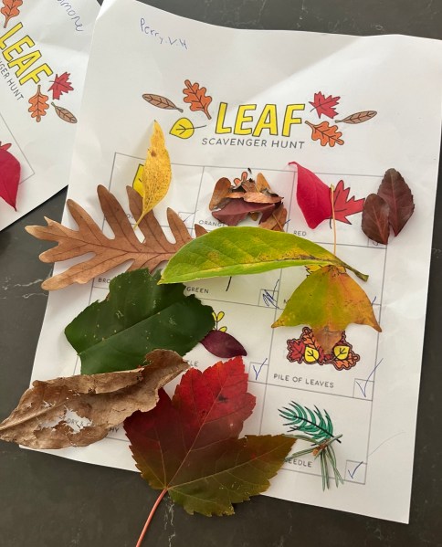 Leaf Scavenger Hunt