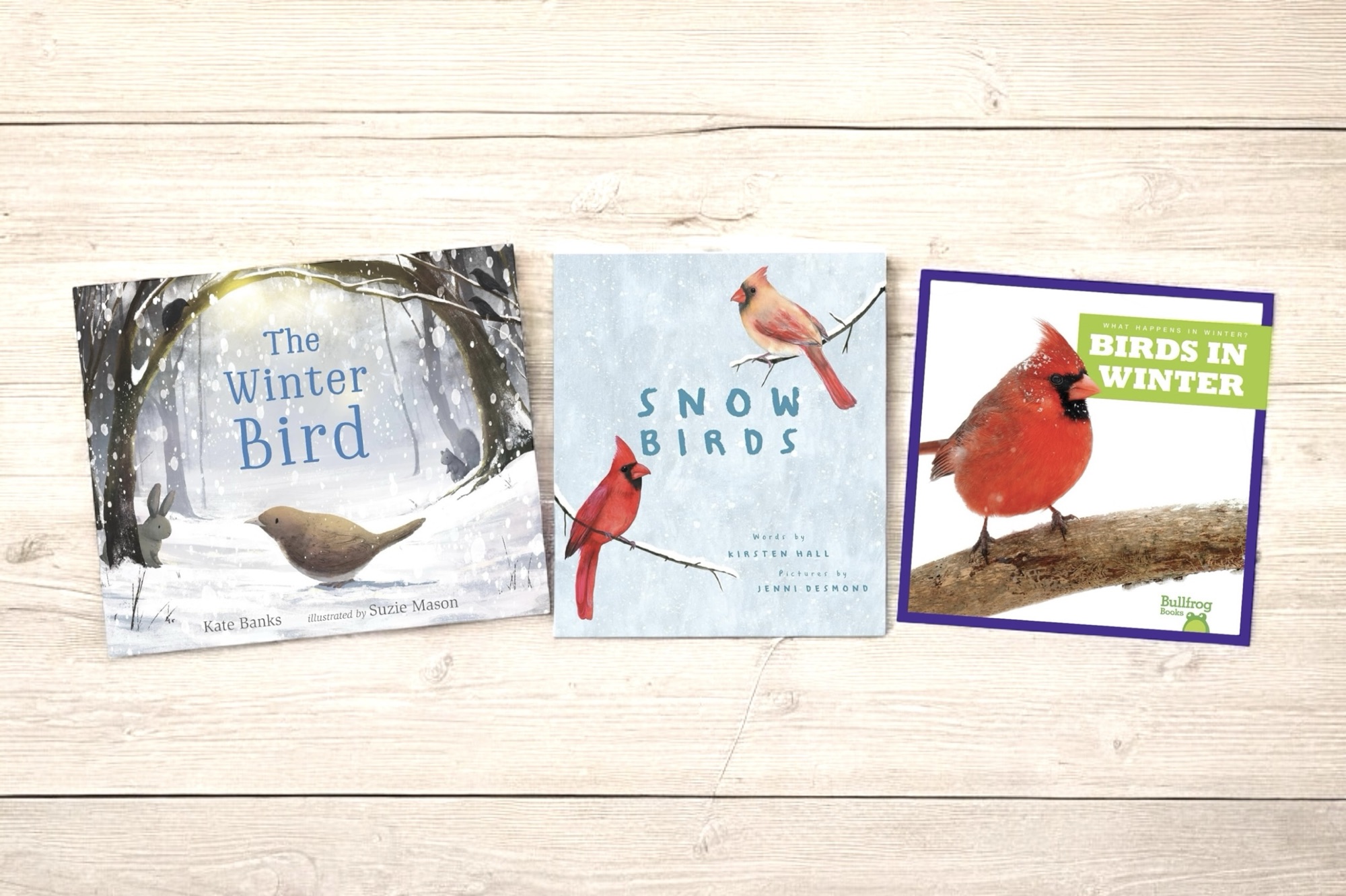 Pinecone Bird Feeder and Winter Bird Books