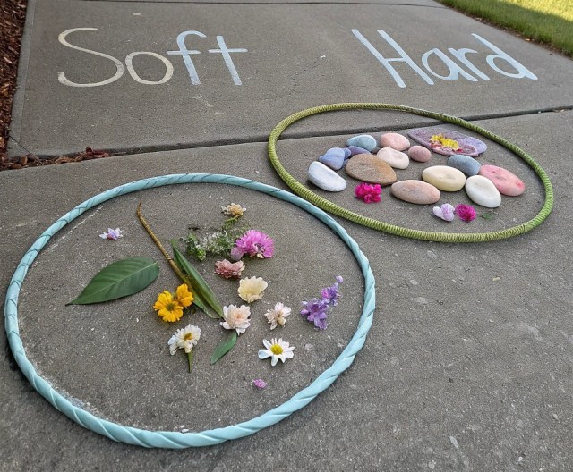 Outdoor Nature Sorting
